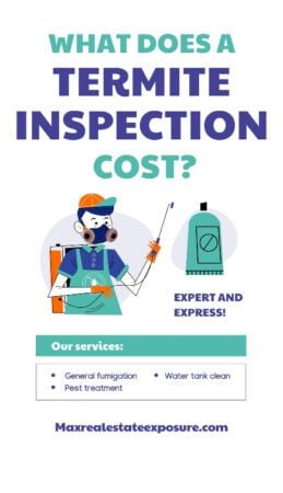 How Much Does a Termite Inspection Cost?